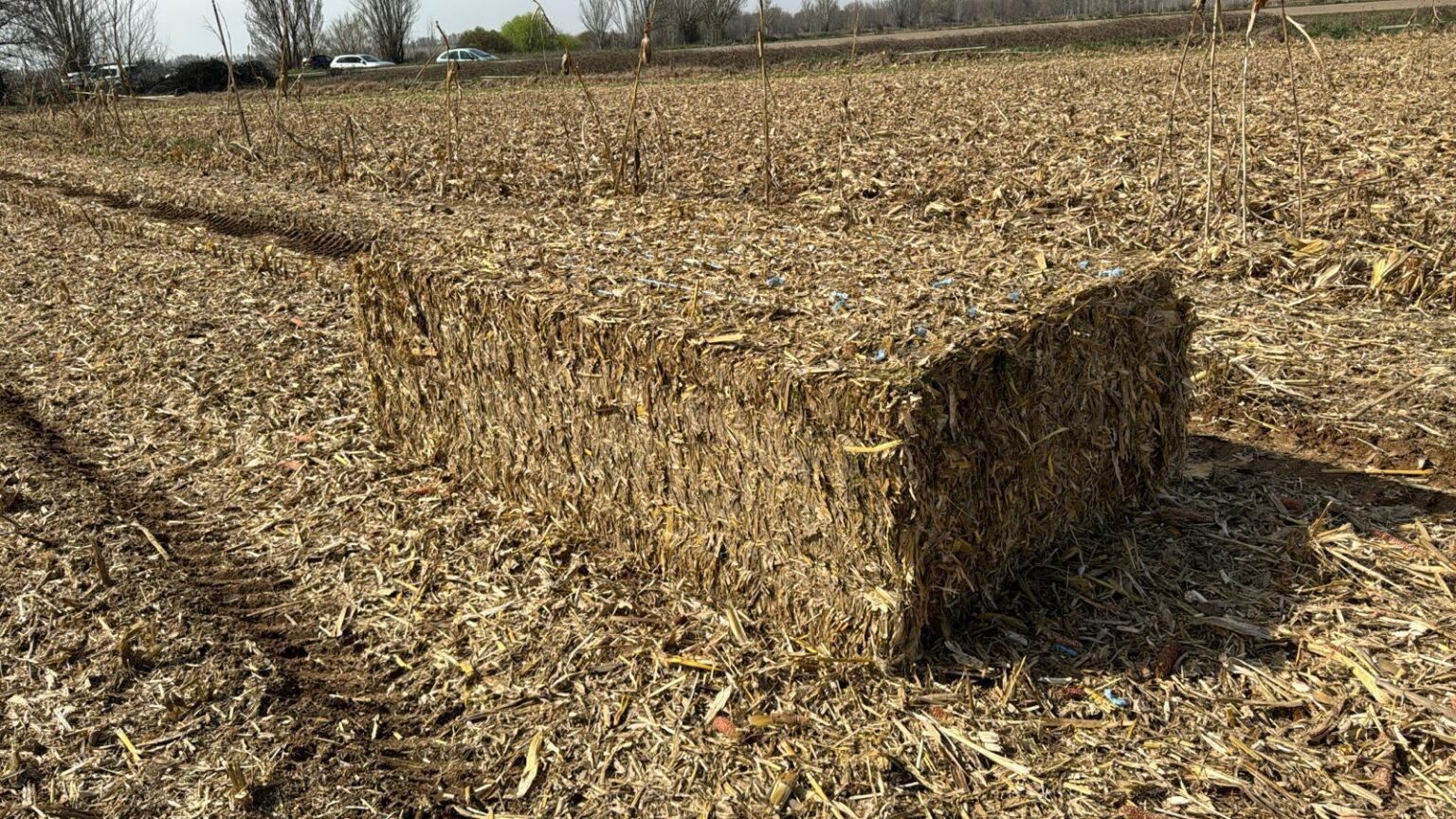 Reolum muestra la recogida de restos de maíz para La Robla Green - TODOMAIZ